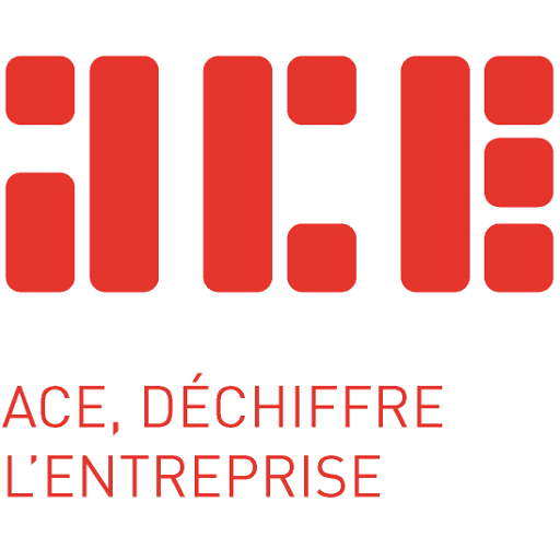ACE : Audit et Conseil des Entreprises